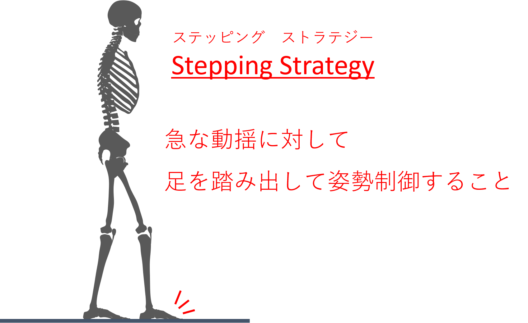 重心バランス stepping strategy – 株式会社RIKI